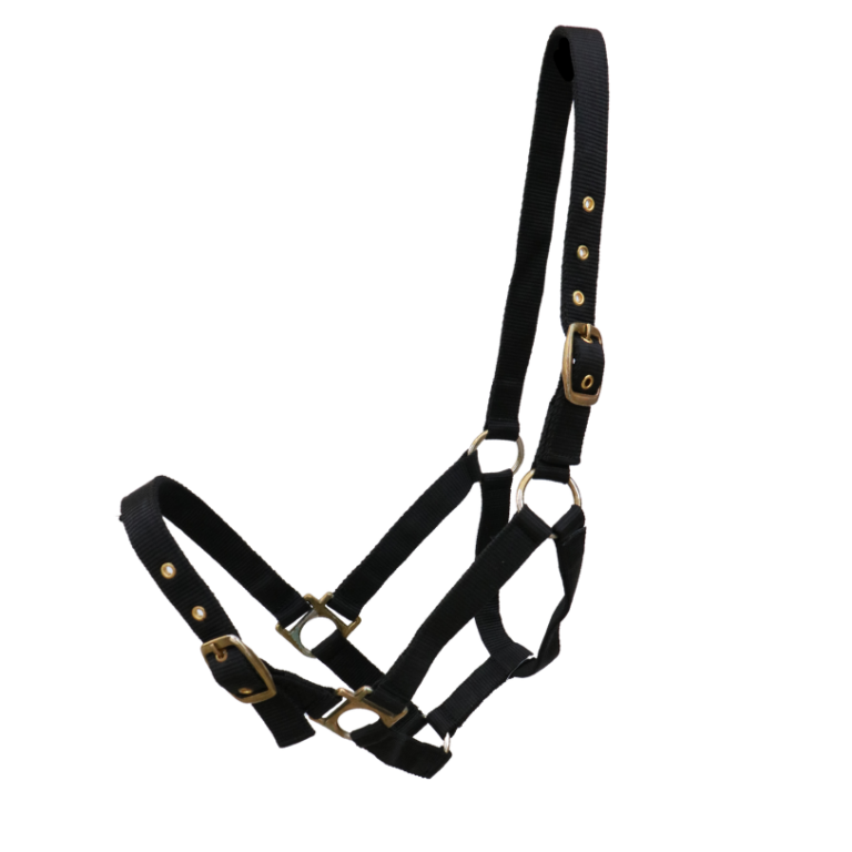 Brass Mounted Web Headstall
