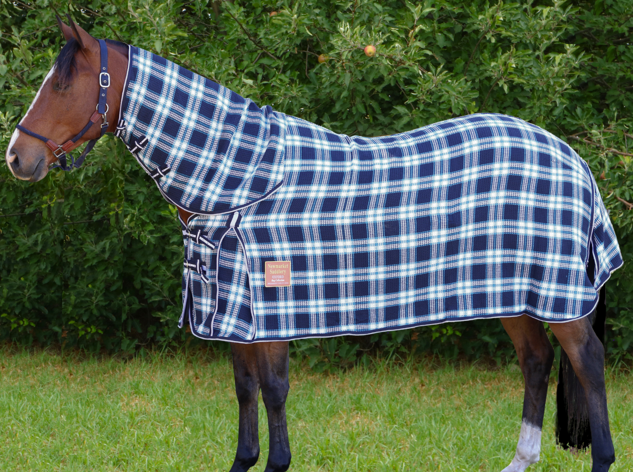 Oxford 100% Cotton Cool Down Combo